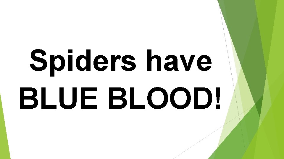 SPIDER FACTS Get ready to learn something NEW