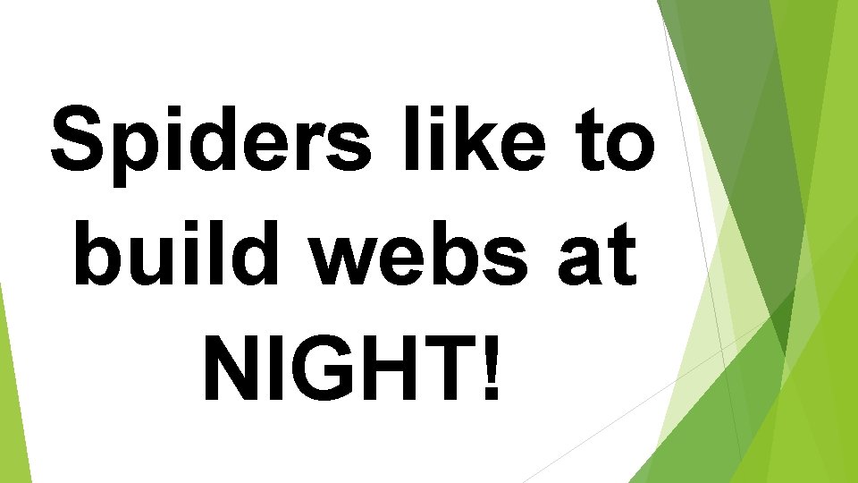 SPIDER FACTS Get ready to learn something NEW