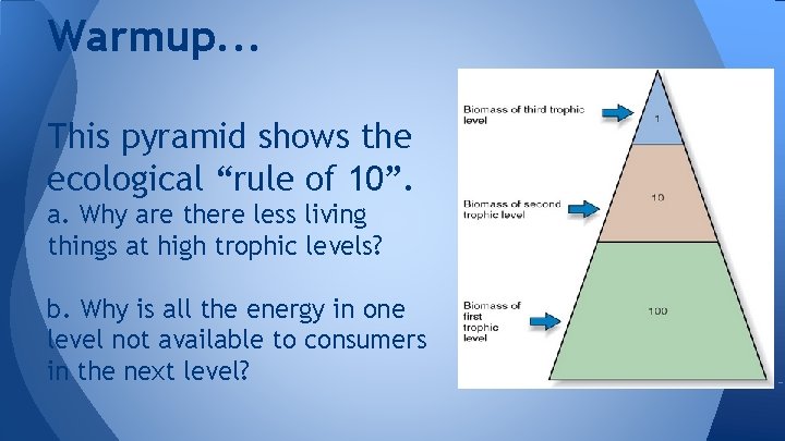 Warmup This pyramid shows the ecological rule of
