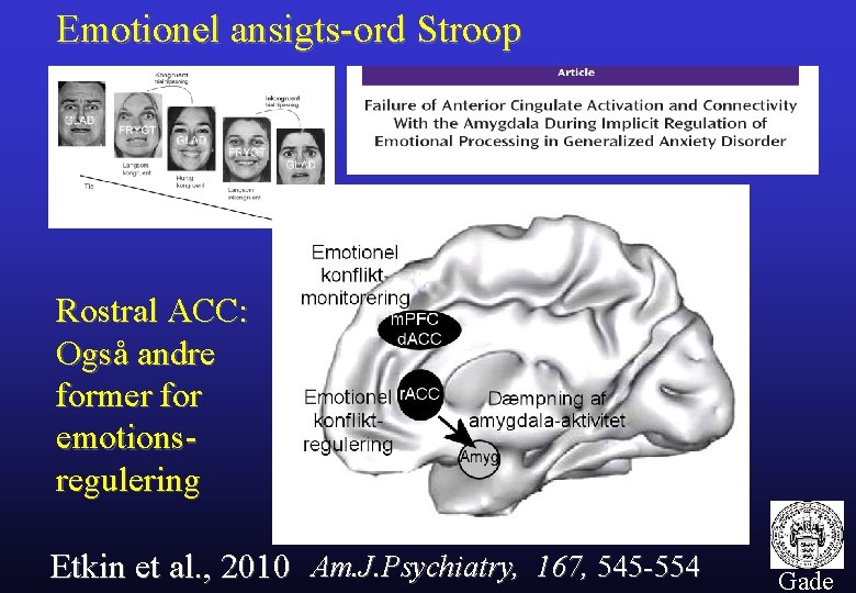 Emotioner og limbiske strukturer 2 Udvidede amygdala insula