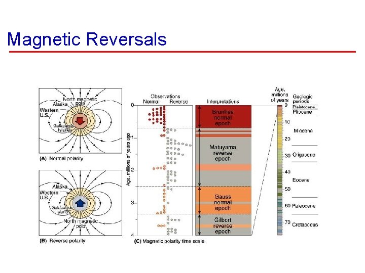 From Continental Drift to Plate Tectonics The Evidence