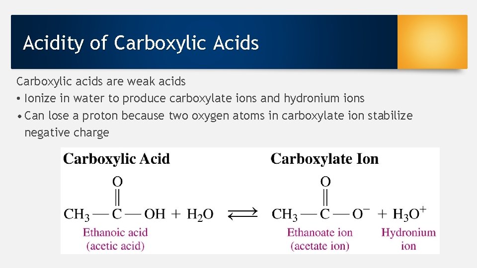 Carboxylic Acids Esters Amines and Amides Chemistry 100