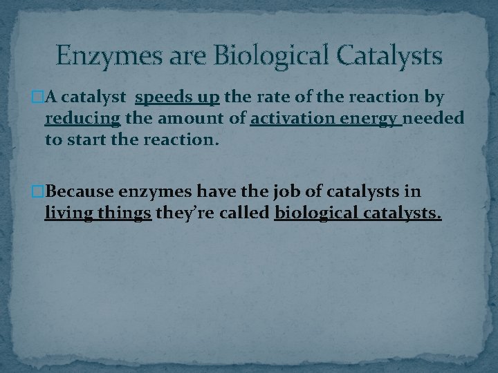 Section 2 5 Enzymes Word Splash Enzyme Active