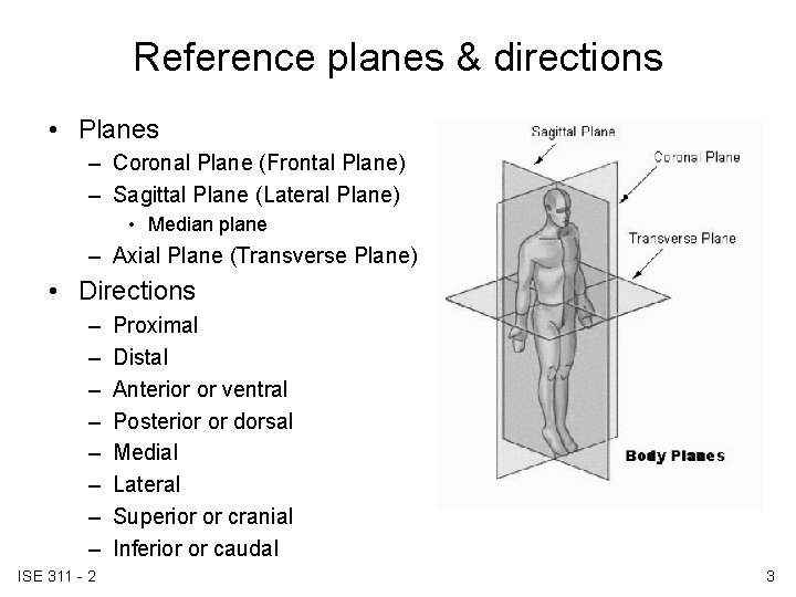 Tools Techniques ISE 311 2 1 Anatomy The