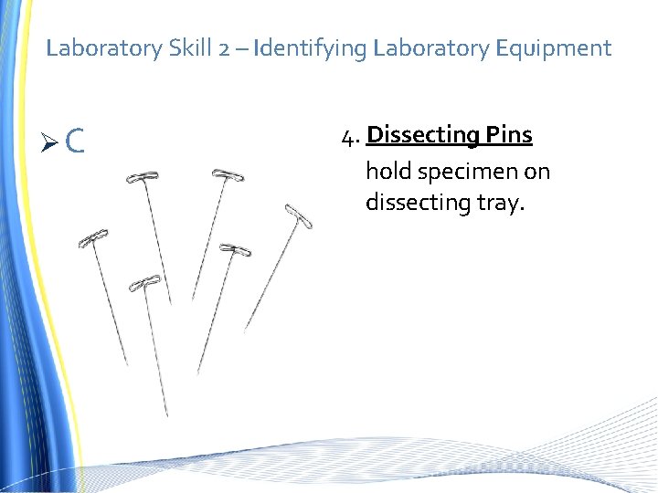 Laboratory Equipment JTHS Biology CP Phyllis Smith Laboratory
