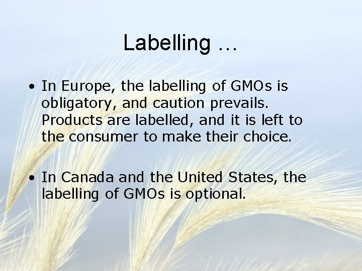 Genetically Modified Organisms GMOs Beneficial or Dangerous What