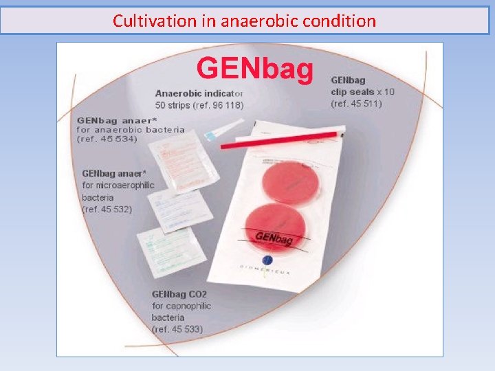 ODESSA NATIONAL MEDICAL UNIVERSITY Microbiology virology and immunology