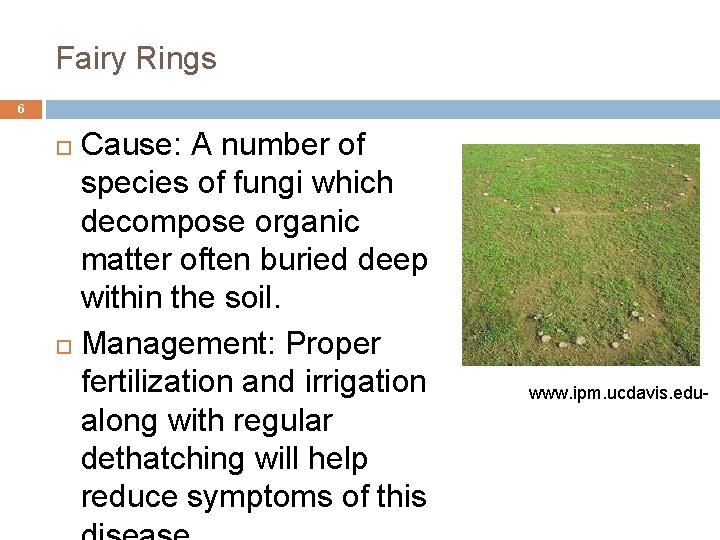 DISEASES Learning Lesson 4 of 4 SelfGuided Module