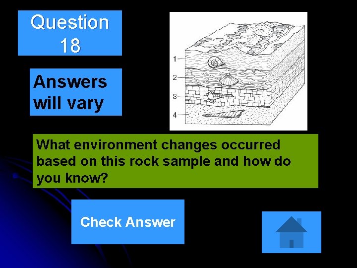 Jeopardy Game Rocks Minerals and Soil Rocks Fossils