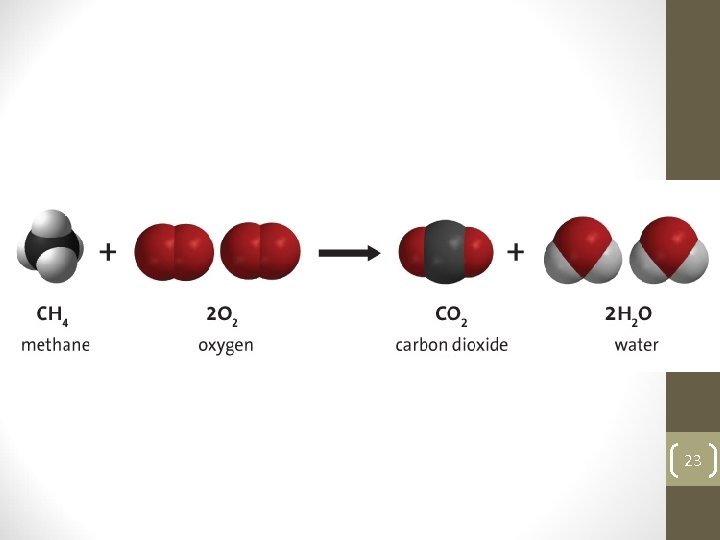 What is a Mole watch the video Collection