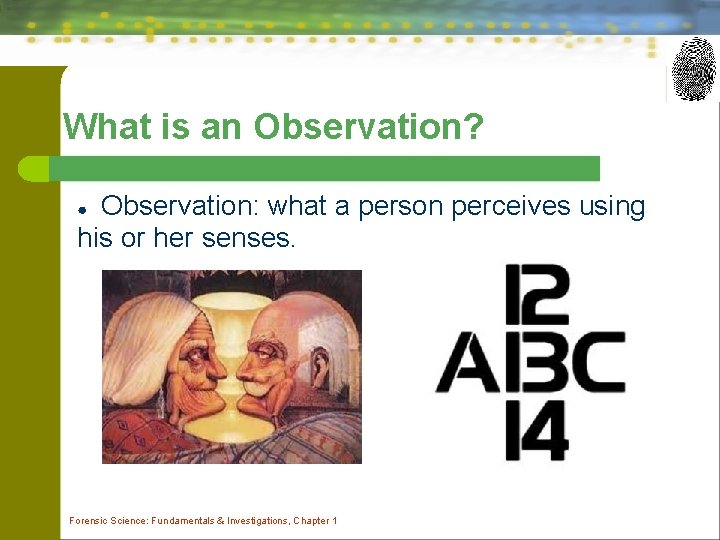 Chapter 1 Observation Skills All rights Reserved SouthWestern