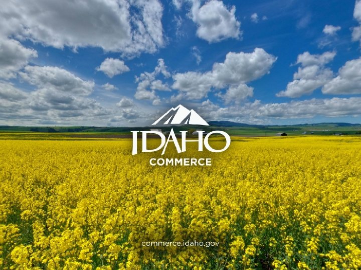 Program Overview State Trade Expansion Program STEP o