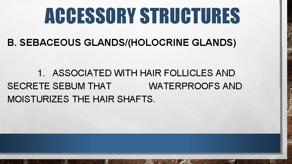 ACCESSORY STRUCTURES A HAIR FOLLICLES 1 HAIR CAN