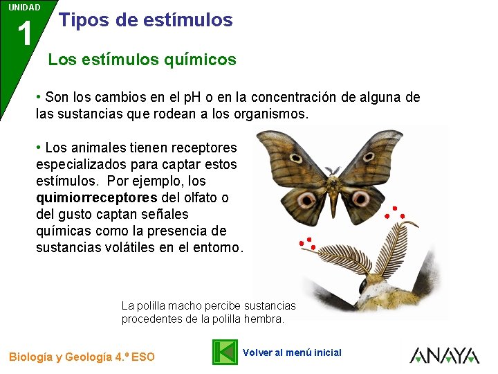 UNIDAD 1 La clula TIPOS DE ESTMULOS Biologa