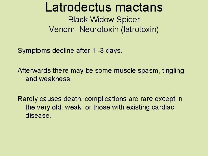 Latrodectus mactans Black Widow Spider Araneae Theridiidae Latrodectus