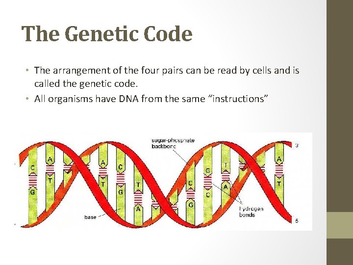 Unit A Biological Diversity How do species have
