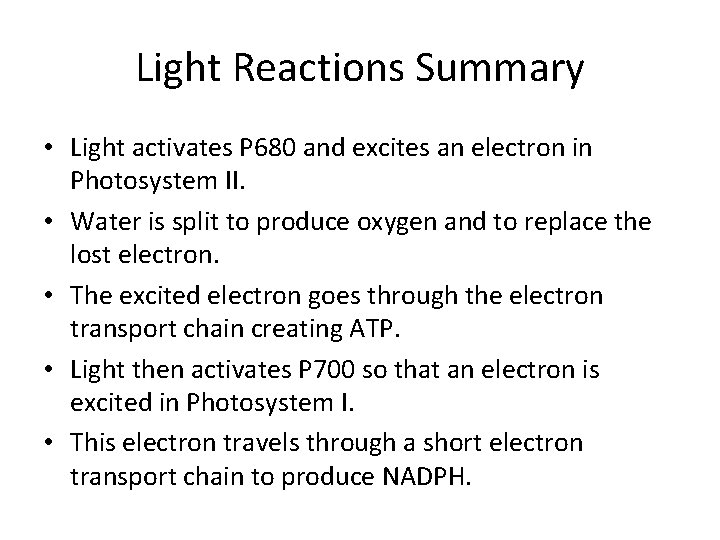 Photosynthesis Dark Reactions Ms Bush Ms Cohen Plants