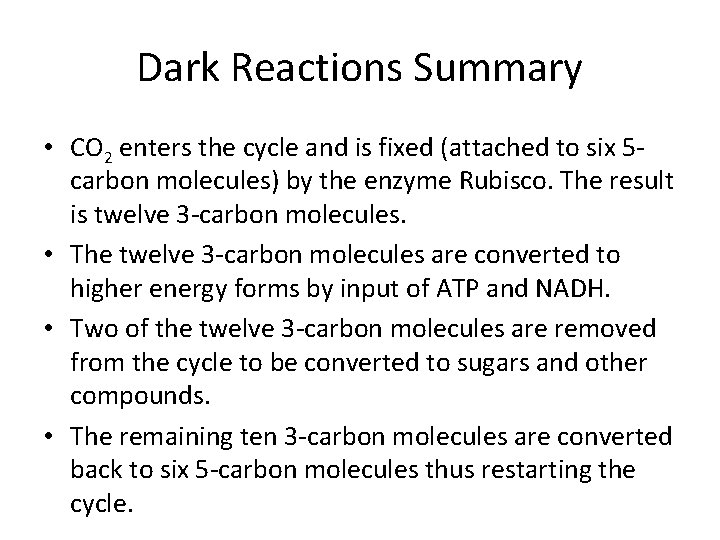 Photosynthesis Dark Reactions Ms Bush Ms Cohen Plants