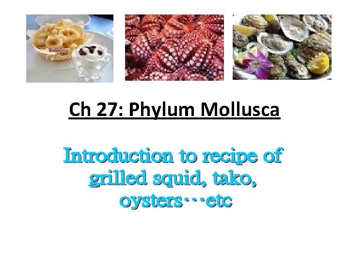 Ch 27 Phylum Mollusca Outline Forms Feeding Respiration