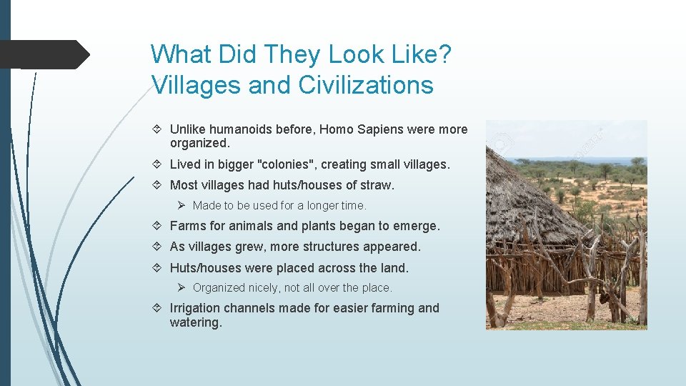 The Modern Humans By Yukyeom Jang and Luca