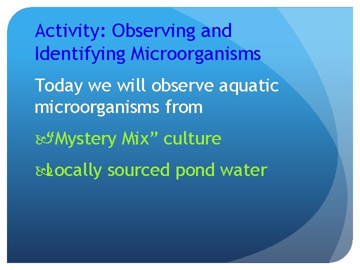 Evolution Biodiversity Laboratory BIL 161 Project I Biodiversity