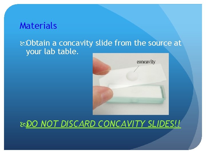 Evolution Biodiversity Laboratory BIL 161 Project I Biodiversity