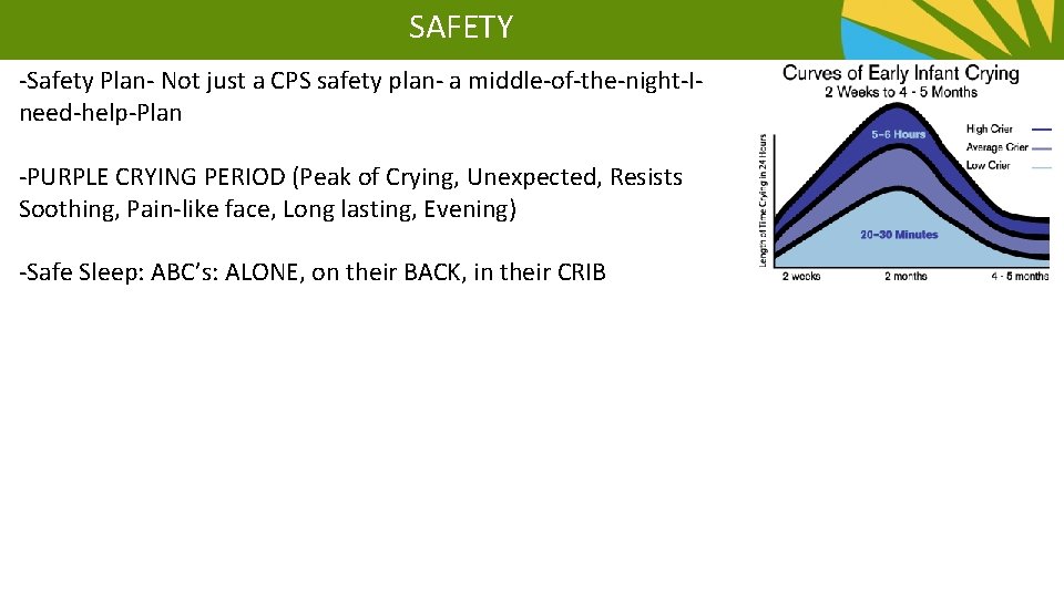 F CASA Training Overview of the Bright View