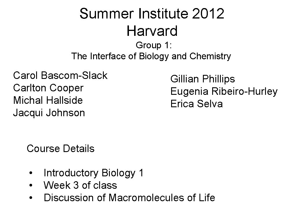 Summer Institute 2012 Harvard Group 1 The Interface