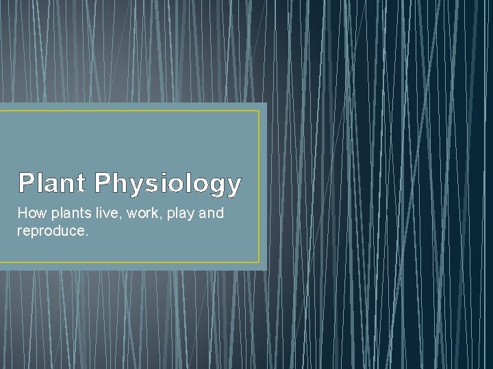 Plant Physiology How plants live work play and