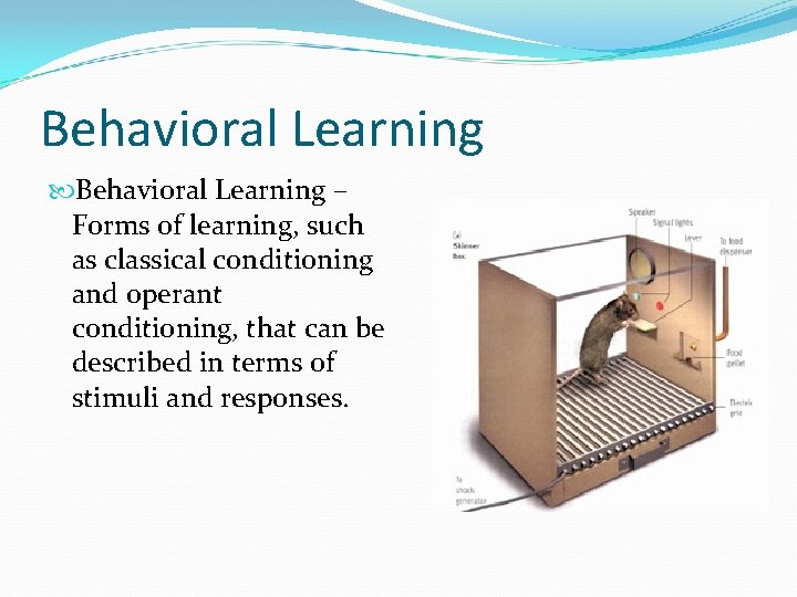 Learning Learning A lasting change in behavior or