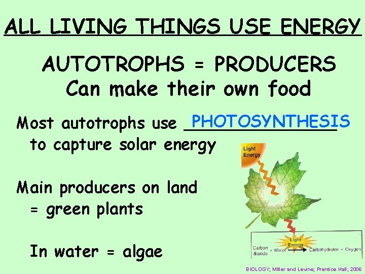 Energy Flow in the Biosphere http www geog