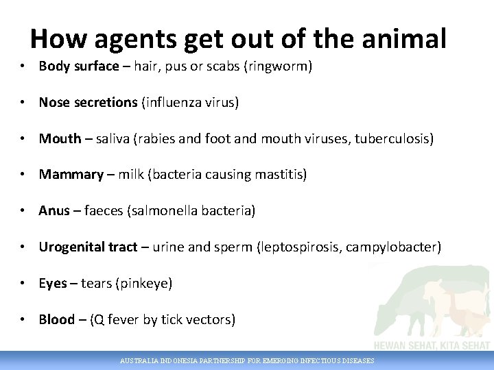 Basic Field Epidemiology Session 7 Transmission and spread