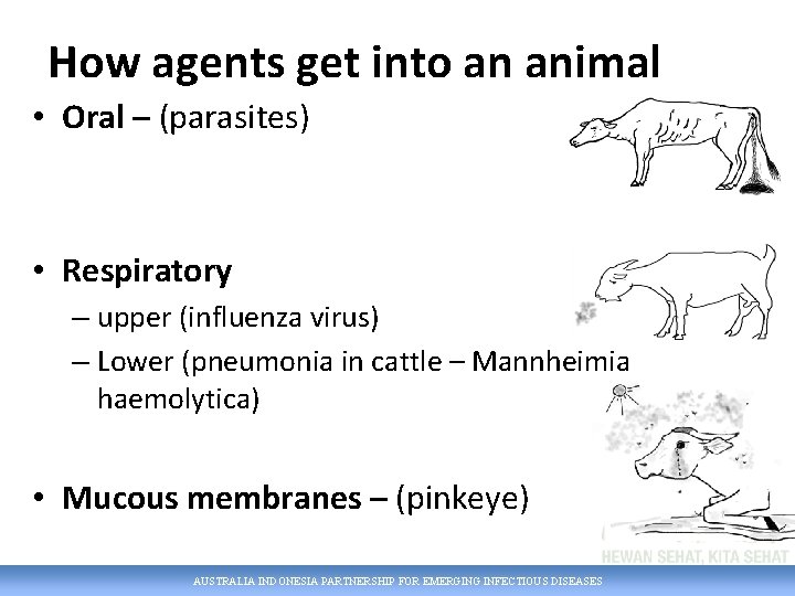 Basic Field Epidemiology Session 7 Transmission and spread