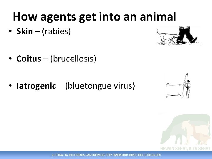 Basic Field Epidemiology Session 7 Transmission and spread