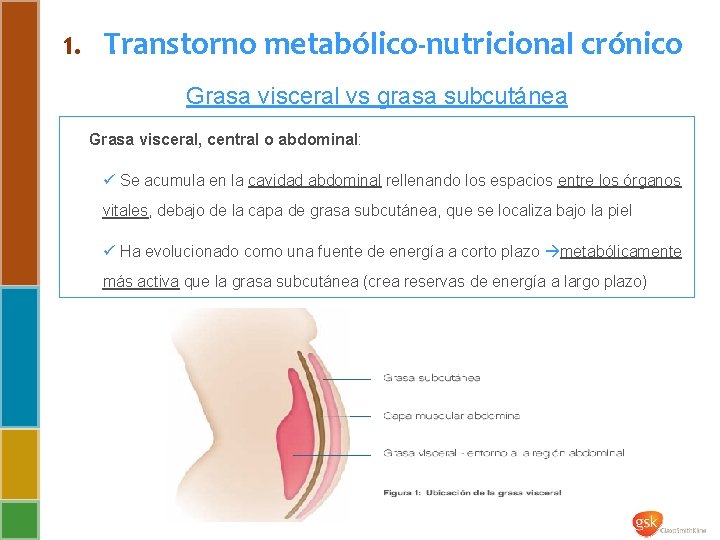 Atencin Farmacutica del sobrepeso y la obesidad en