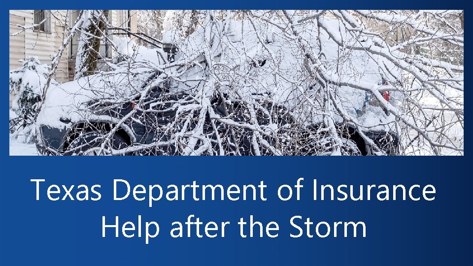 Texas Department of Insurance Help after the Storm