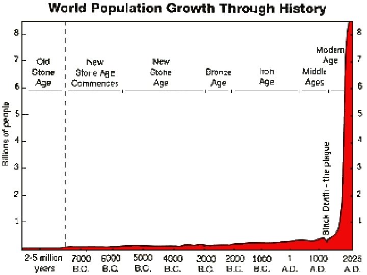 Chapter 5 Populations Section 1 How Populations Grow