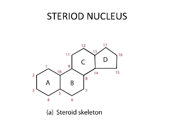 CHOLESTEROL METABOLISM LECTURER DR MRS J E IKEKPEAZU
