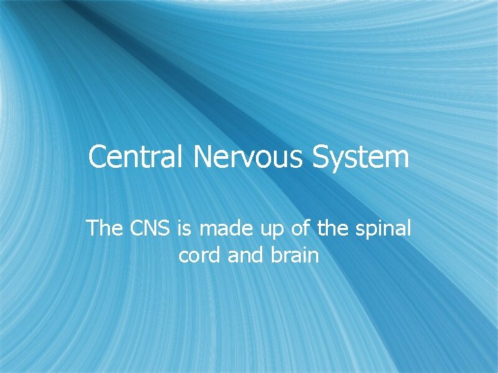 Central Nervous System The CNS is made up