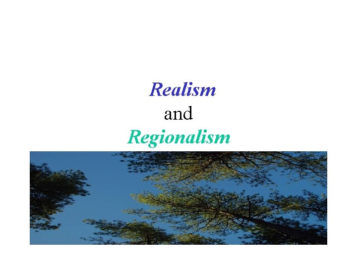 Realism and Regionalism The U S Civil War