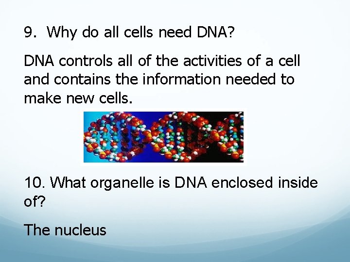 Cells Cells Definition A membrane covered structure that