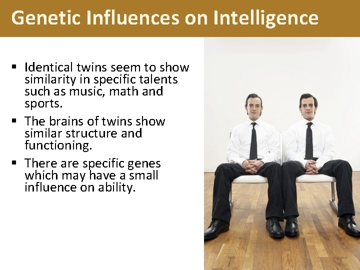 Thinking Language and Intelligence Power Point Presentation by