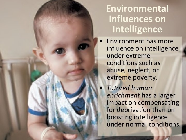 Thinking Language and Intelligence Power Point Presentation by