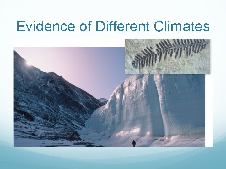 Continental Drift to Plate Tectonics and Earths Structure