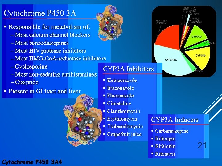 Revise the aim phases of drug metabolism Define