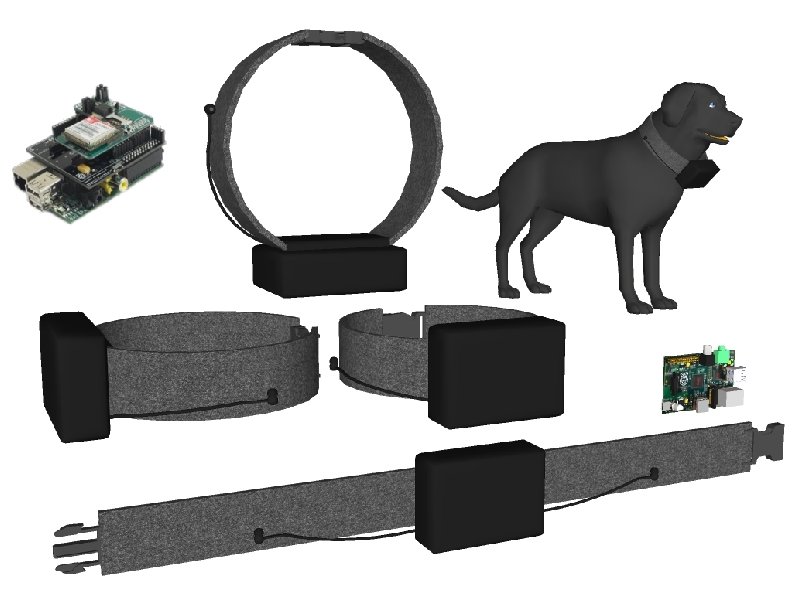 Electronic Symbiosis Justin Tolman justintolmanu boisestate edu Vs