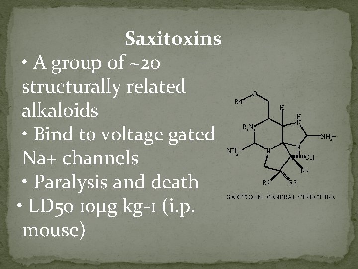 King Saud University College of Science Microbiology Department
