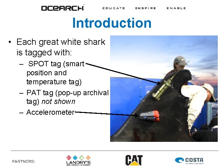 OCEARCH Physics Part 2 Tagging Great White Sharks