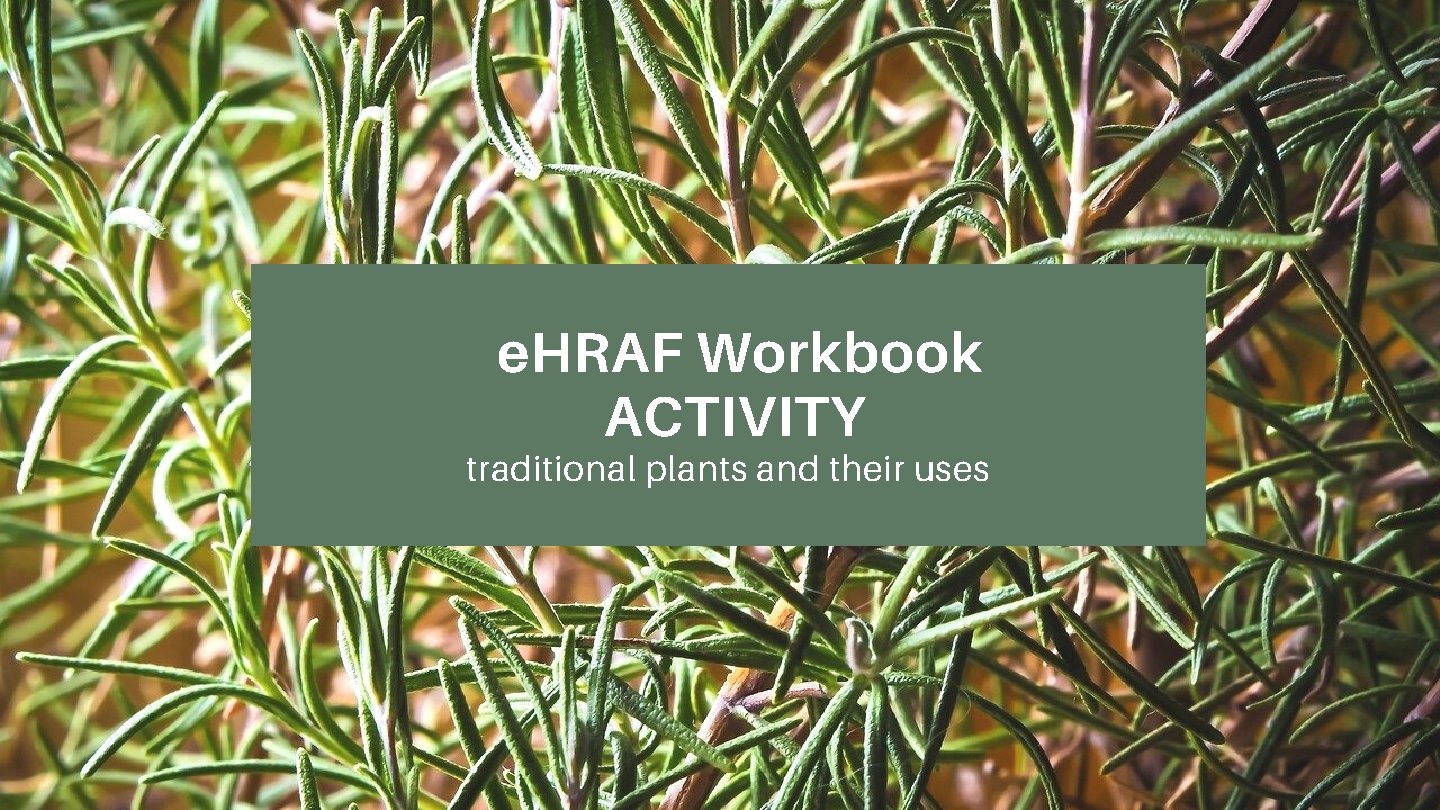 An e HRAF Workbook Activity Ethnobotany Medicinal Plants