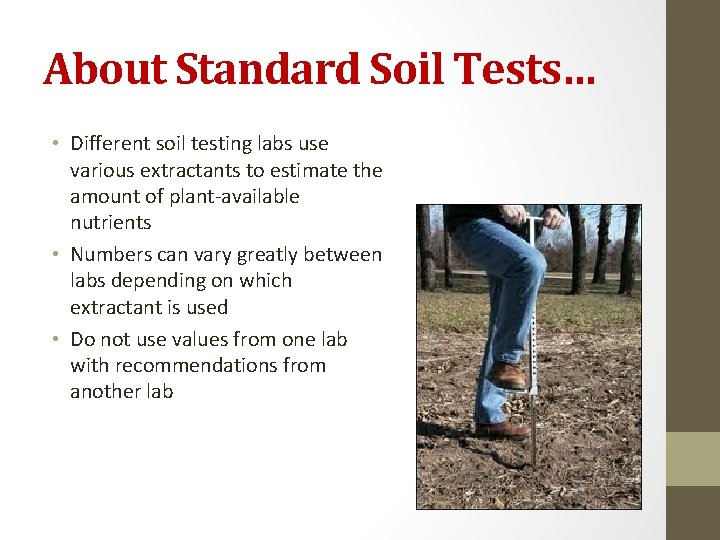 Berry Crop Soil and Nutrient Management The Basics